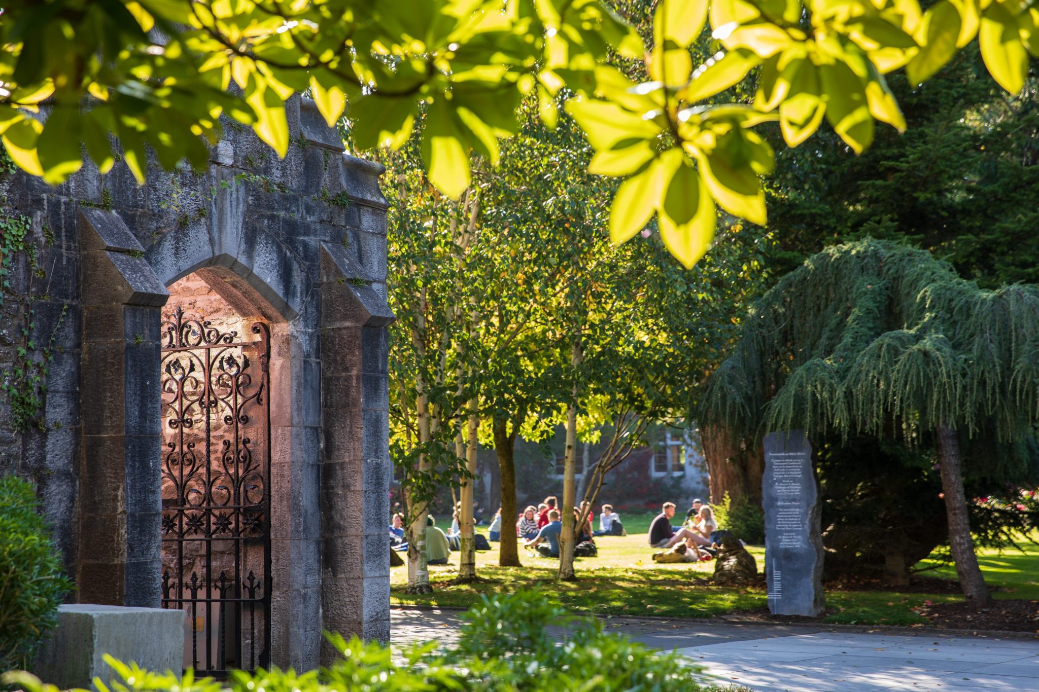 What is UCC like? – Autism & Uni Toolkit – University College Cork